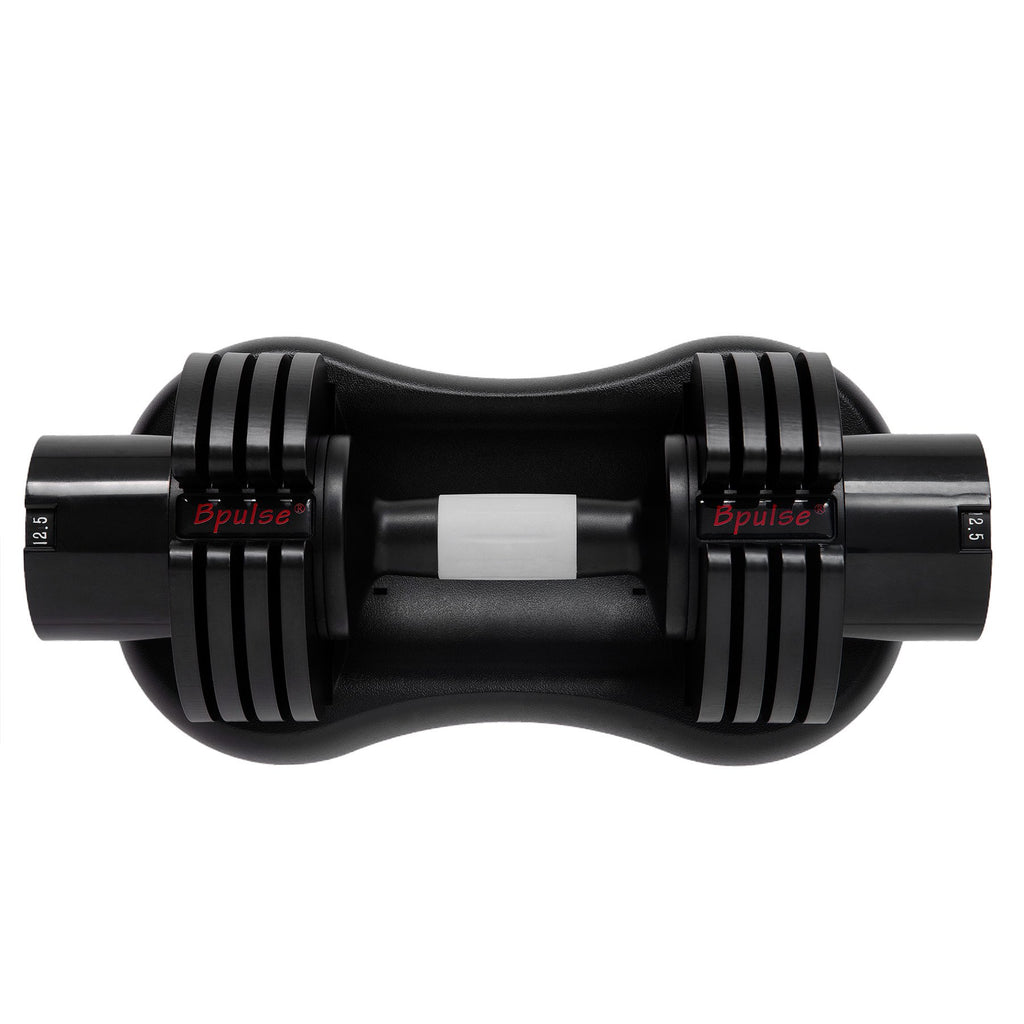 Adjustable Dumbbell Set for Men and Women, 27.5lb Dumbbell with Handle ...